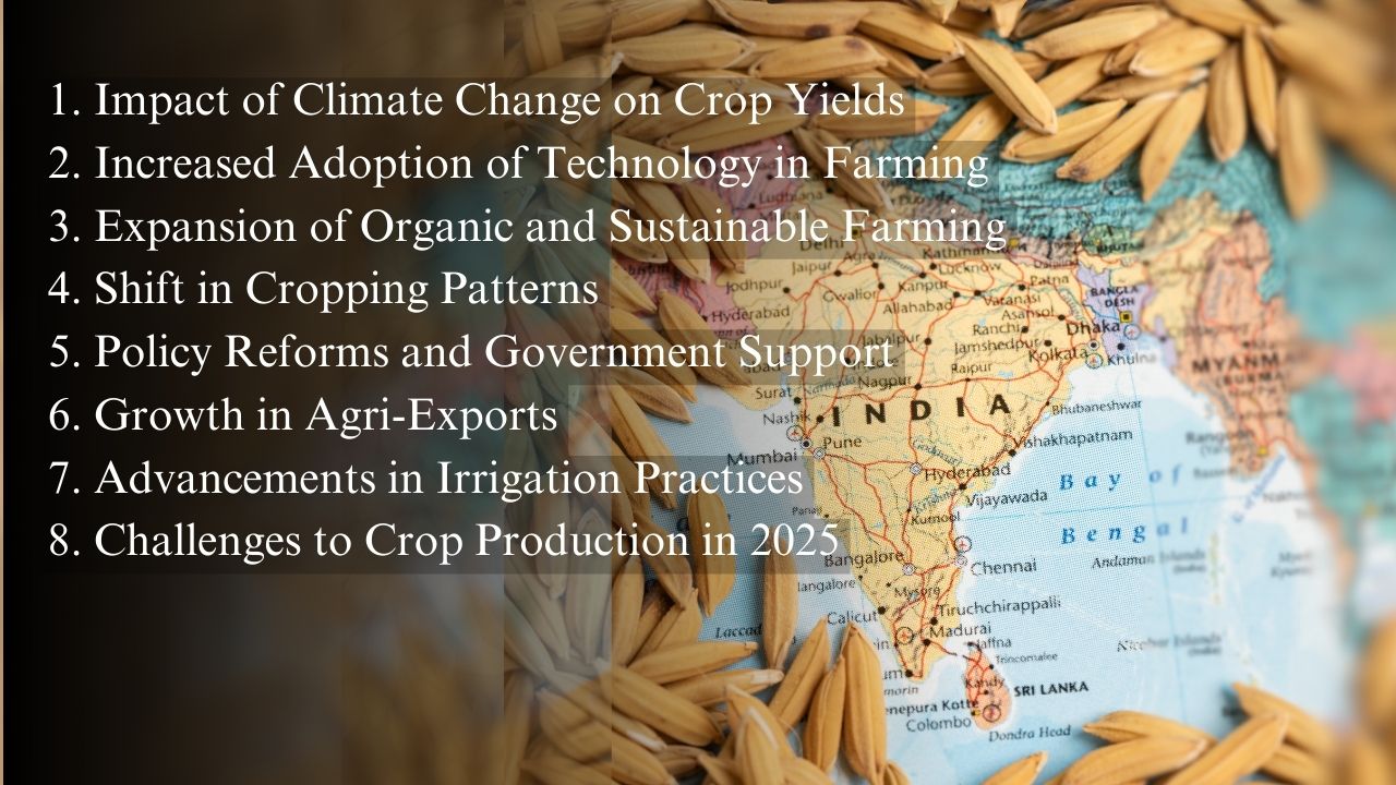 2025 Agricultural Forecast: Key Trends and Predictions for Crop ...