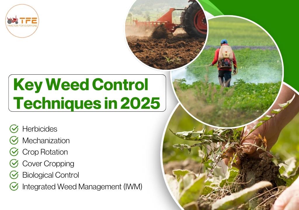 Weed Control Techniques in India - An In-Depth Guide for 2025